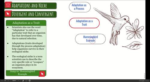 Adaptation and Comparative Anatomy Interactive Diagram by Science With ...