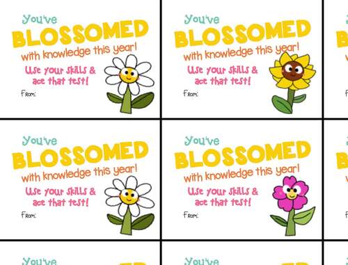 Flower Testing Motivation Tag- You've blossomed with knowledge this year!