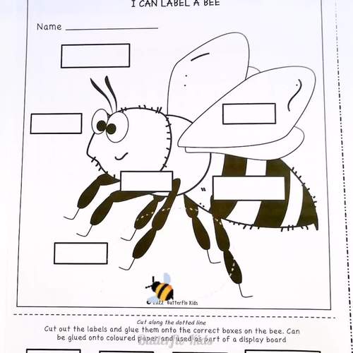Parts of a Bee Science Labeling by Butterflo Kids | TPT
