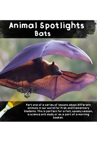Bats - Animal Spotlights - Bat Unit Study - Homeschool science, nature ...