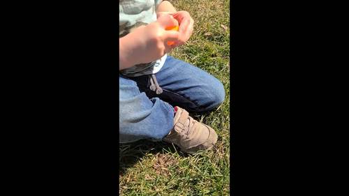 Dinosaur Letter and Initial Sounds Match l Egg Hunt Activity | TPT