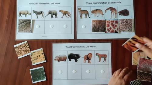Wild Animals Montessori Learning | Homeschooling | Toddlers Quiet Time ...