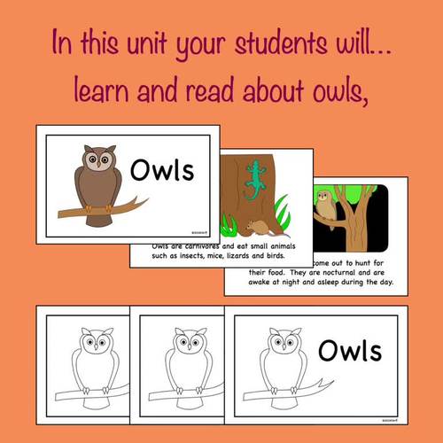 Owls - Nonfiction Writing Unit - for early writers and ESL students