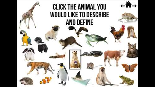 Describe and Define Animals Boom Cards™ - Language Activity - Speech ...