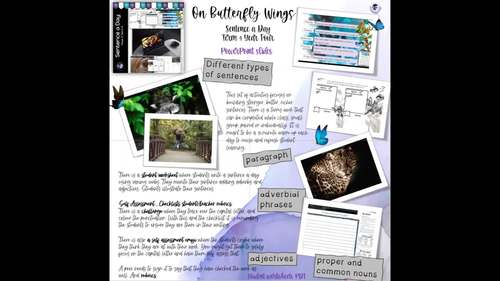 Sentence Writing Grade 4 Weeks 31 to 40 by On Butterfly Wings | TPT