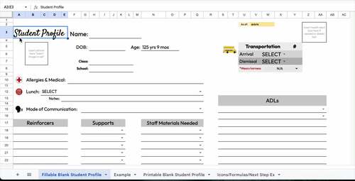 Student Profile Snapshot | One-Page Google Sheets Template by Data Tigers
