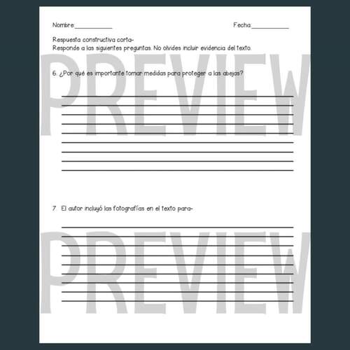 Spanish Reading Comprehension- Texto Informativo- Abejas | TPT