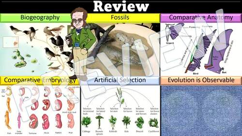 Evolution by Natural Selection PowerPoint + FREE Guided Notes | TPT