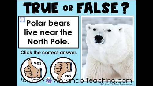 Boom Cards True False Nonfiction Animal Facts Polar Bear Science