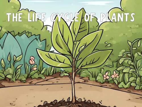 NO PREP Life Cycle of a Plant PowerPoint for K-2nd Grade | TPT