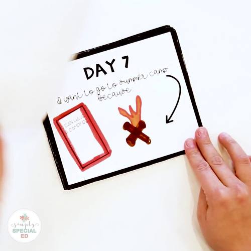 End of Year Lesson Plans | The Last Ten Days of School | Special Education