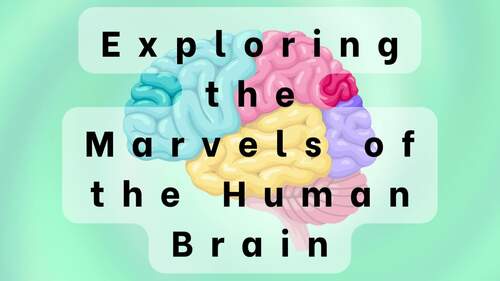 Exploring the Marvels of the Human Brain | Reading MC and Open ...