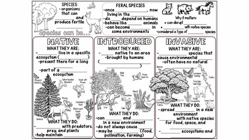 Native, Introduced & Invasive Species Doodle Notes, Quiz + Slides | Ecology