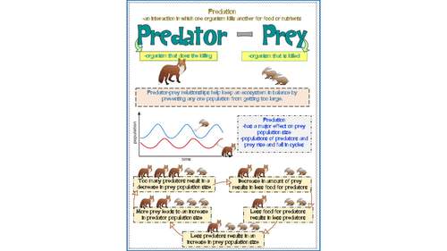 Predator-Prey Doodle Notes & Quiz + Power Point by Black-Eyed Susan Science