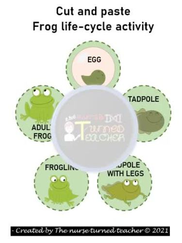 Frog life cycle colored poster (cut and paste activity) | TPT