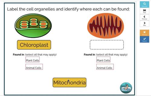Photosynthesis and Cellular Respiration Boom Cards - Digital Task Cards