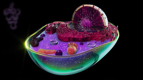 Build a Cell Membrane + Cell Transport Card Game Lab Activity | TPT