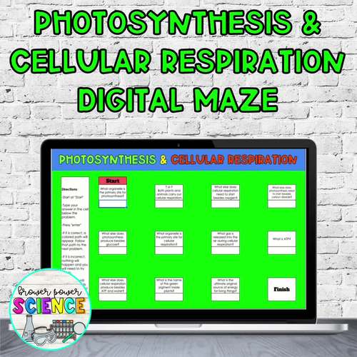 Photosynthesis and Cellular Respiration Digital Maze by Brower Power ...