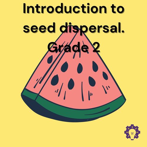 Basic Principles Resources Free | TPT