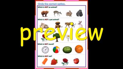 Negation- Worksheet Slides with real images. POWERPOINT | TPT