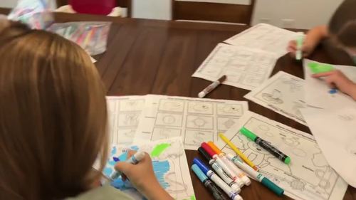 Classical Conversations Cycle 1 - How to Draw Science Memory Work ...