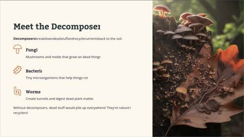 NGSS MS. MATTER AND ENERGY IN ORGANISMS AND ECOSYSTEMS POWER POINT