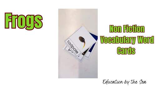 Frogs Non Fiction Picture Word Cards K-2 and ESL by Education by the Sea