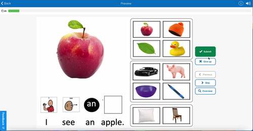 Colors and Common Interactive Book with REAL PICTURES and BOOM CARDS