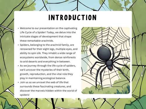 Life Cycle of a SPIDER PowerPoint & Google Slides Lesson, 3rd 4th 5th Grade