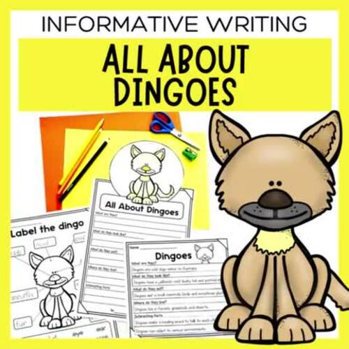 Dingo Informative Writing | Australian Animals | Label The Dingo