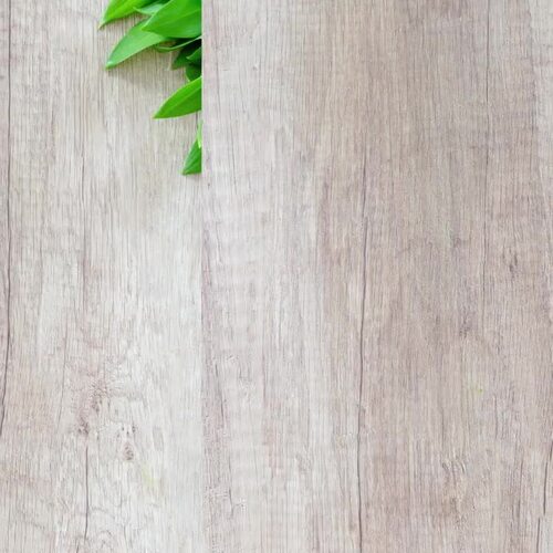 Summary Writing Informative Text Prompts Grade 3 Graphic Organizers ...