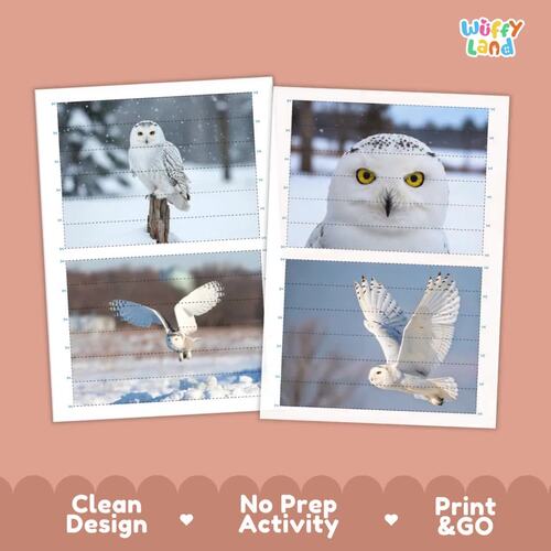 Snowy Owl Arctic Cut and Match Activity | Winter Animals Fine Motor Center