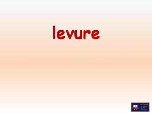 EFL / ESL POWERPOINT PRESENTATION on INGREDIENTS for French students