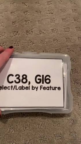 Feature Task Cards [ABLLS-R Aligned B18, C38, G16] by The Autism Helper