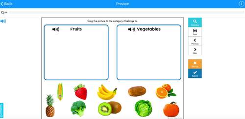 Sort by Category | Real Pictures | Boom Cards by ABA Learning Corner
