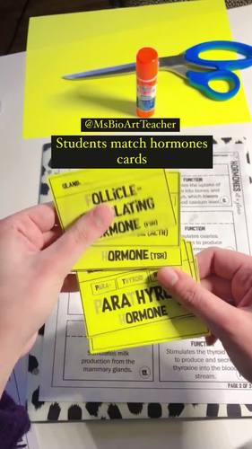 Endocrine System Hormones at-a-glance Interactive Flip Book by ...