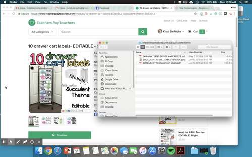 10 drawer cart labels- EDITABLE - Succulent Theme by Kristi DeRoche