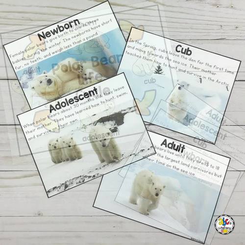 Polar Bear Activities by ABC's of Literacy | TPT