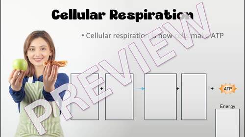 Energy Pyramid & Food Webs PowerPoint Slideshow (+ Guided Notes)