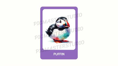 32 Feathered Friends: Engaging Bird Flashcards for Kids to Explore the ...