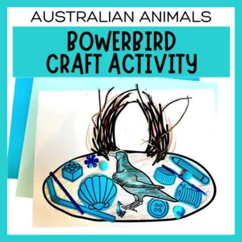Bowerbird Craft Activity For Bowerbird Blues | National Simultaneous ...