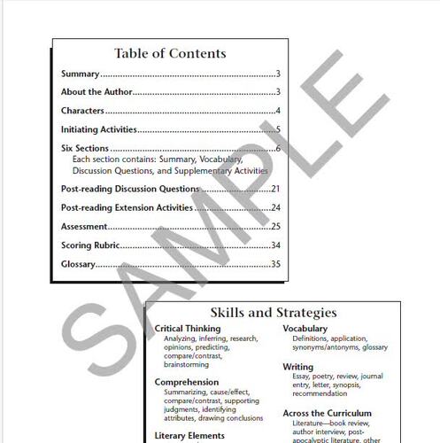 The Road Novel Units® Teacher Guide Novel Study | TPT