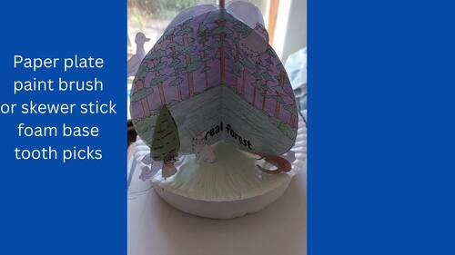 Habitats, food chain, adaptations of animals: Revision/ end of year ...