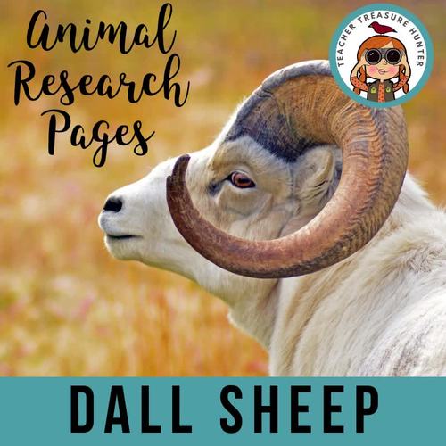Dall Sheep Arctic Animal Research Page for 1st 2nd 3rd grade animal reports