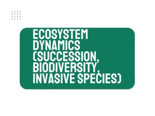 AP Biology: Ecosystem Dynamics Exam Review Questions | TPT