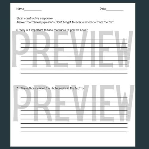 Informational Passage Life of Bees- New Items Type ECR,SCR Reading