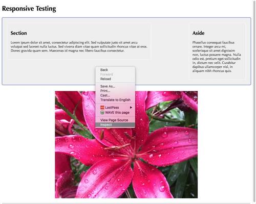 CSS Responsive Design (Distance Learning) by Web Explorations | TPT