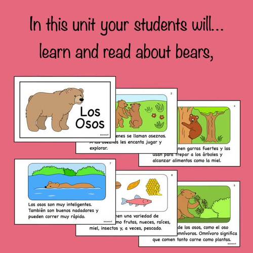 Los Osos - Spanish Nonfiction Writing Unit by Robin Shelton | TPT