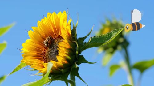 Bee-Themed Song for Kids | Learn & Sing About Bees by CuriousKidsAcademy