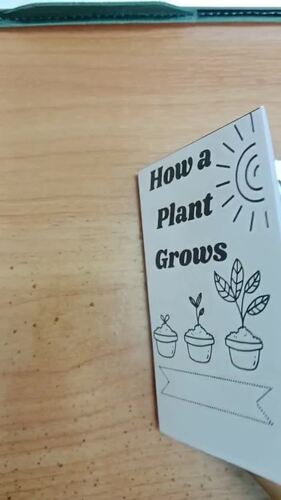 Science Mini Book Bundle: Learn, Color & Explore! by The Clever Cutter